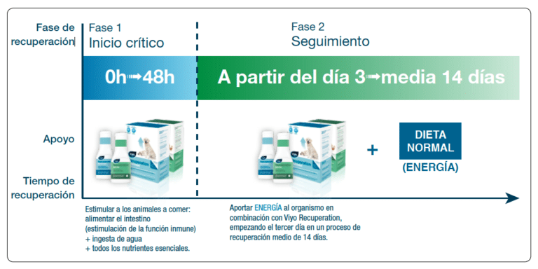 Viyo Recuperation - VETIM | Salud y Bienestar Animal