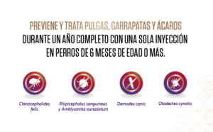 Bravecto® 365: un nuevo nivel de protección.